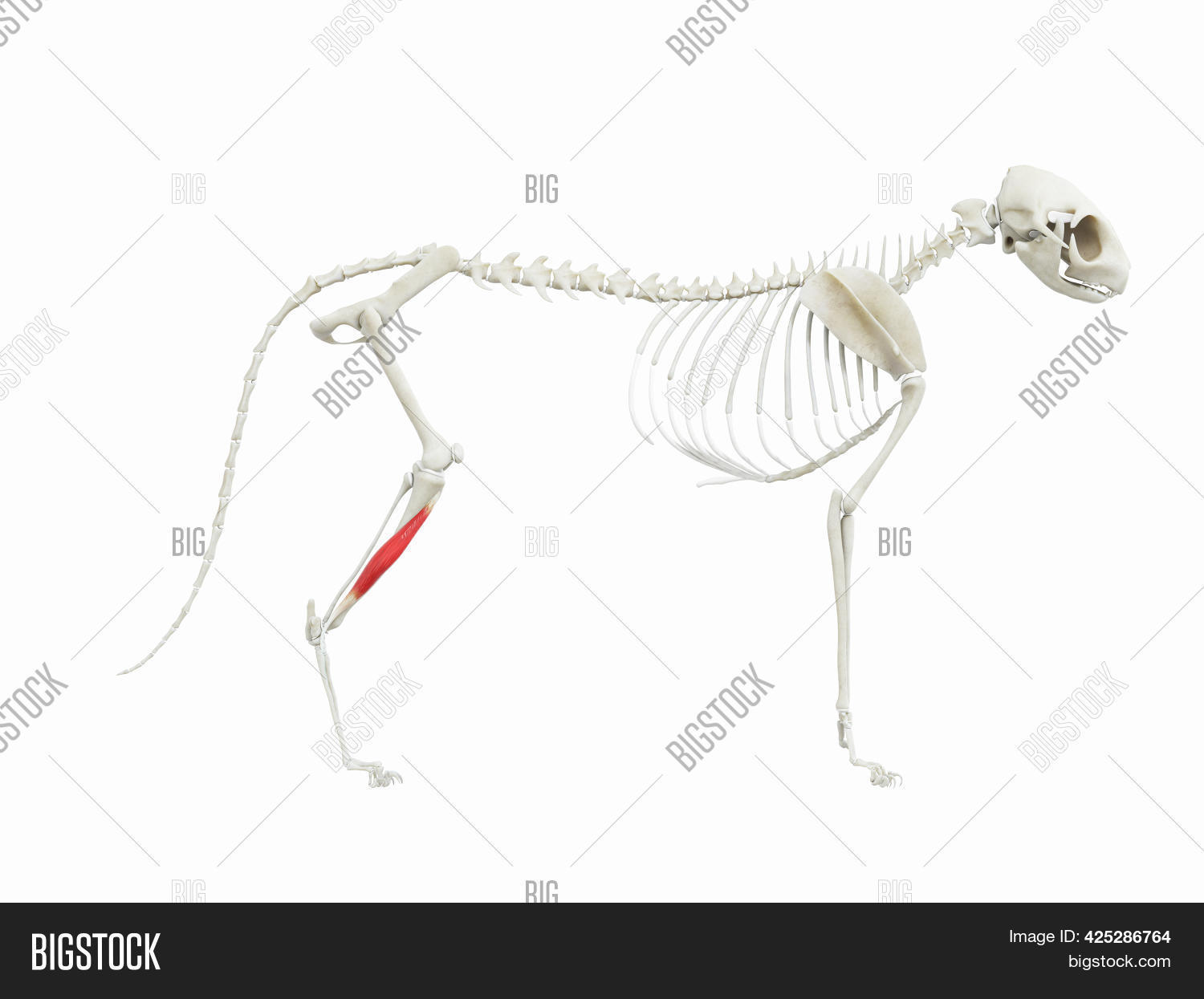 3d Rendered Image & Photo (Free Trial) | Bigstock