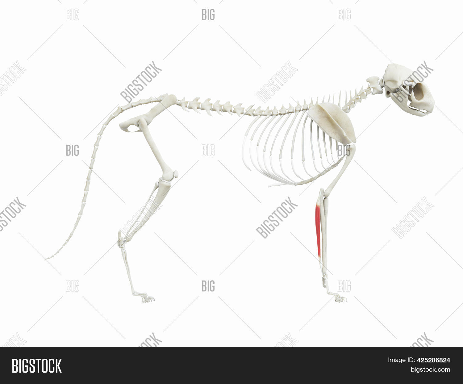 3d Rendered Image & Photo (Free Trial) | Bigstock