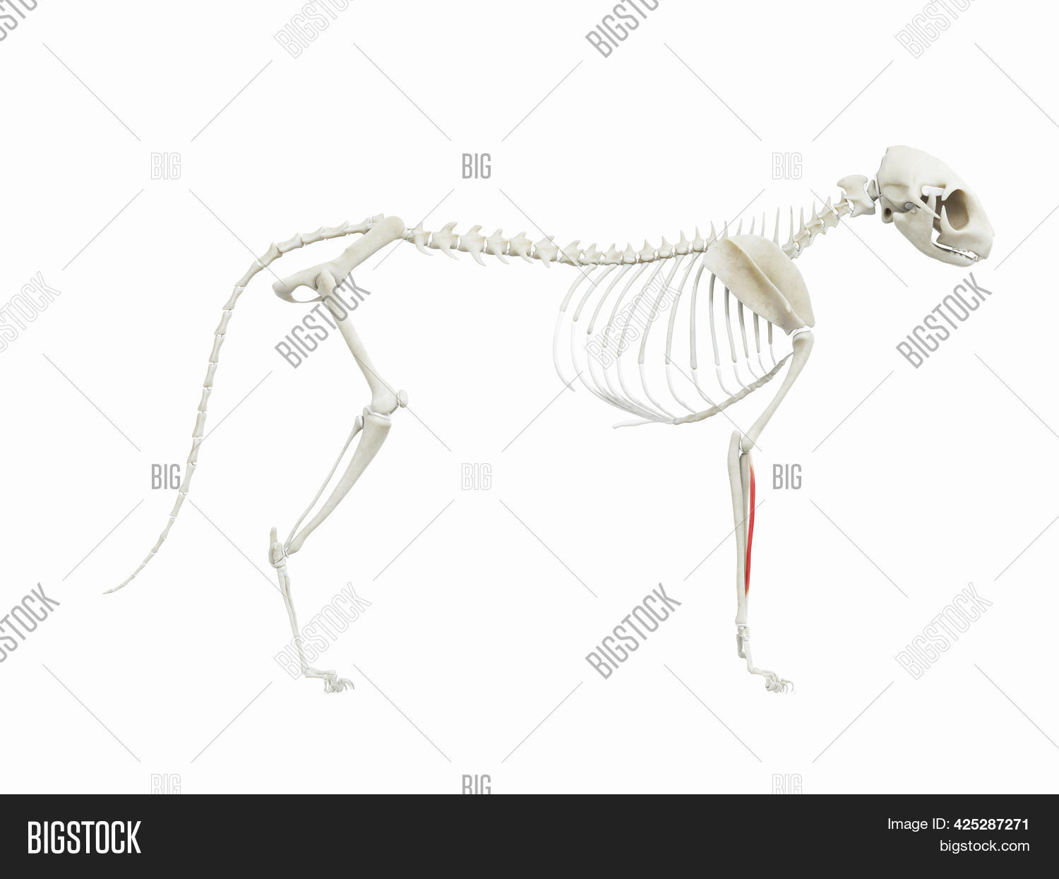 3d Rendered Image & Photo (Free Trial) | Bigstock