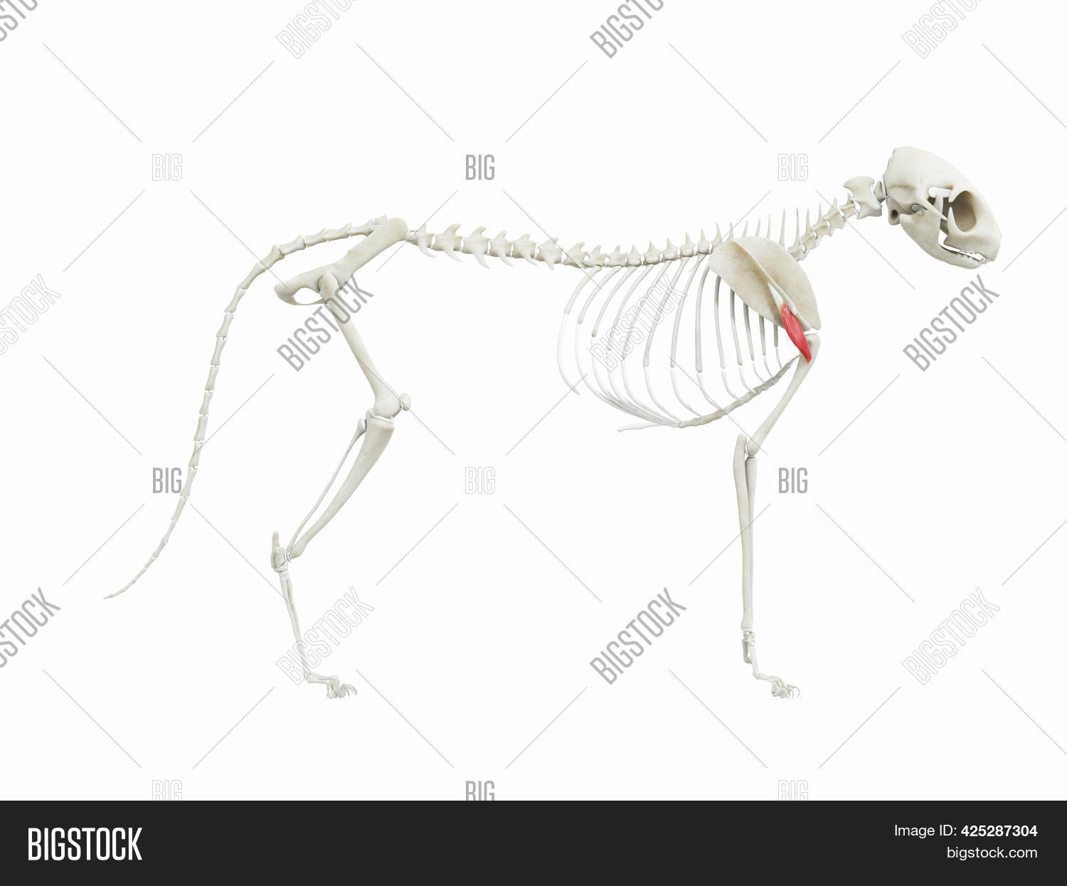 3d Rendered Image & Photo (Free Trial) | Bigstock