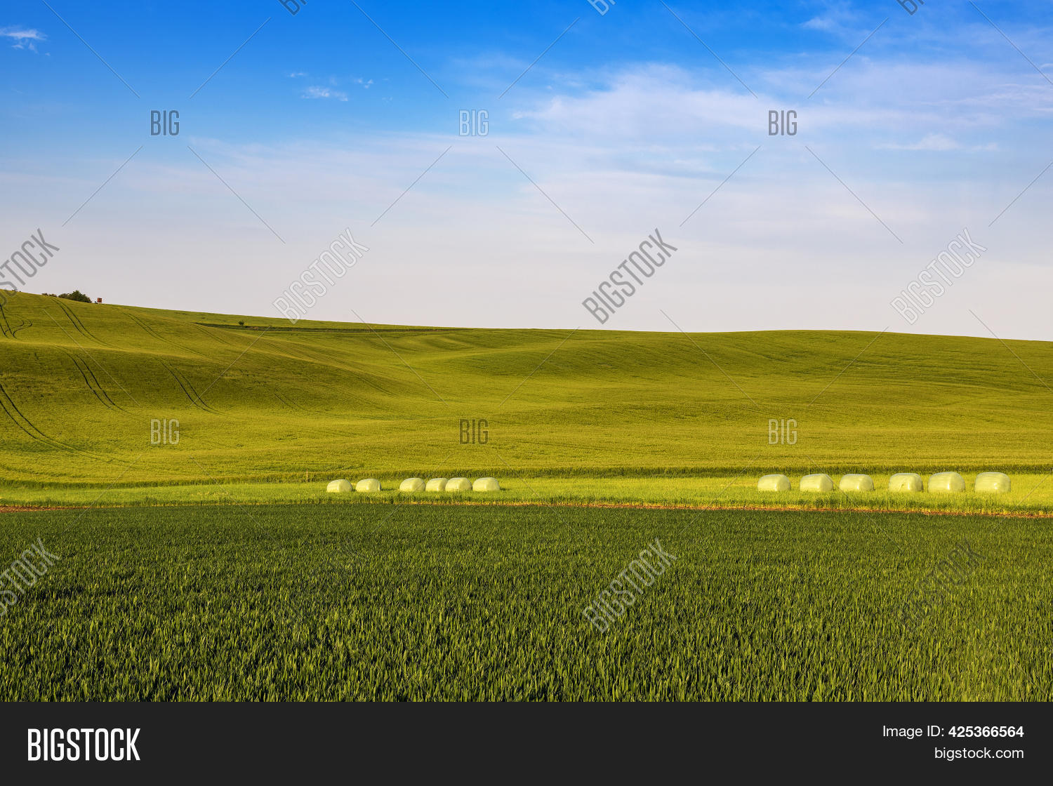 Beautiful Green Field Image & Photo (Free Trial) | Bigstock