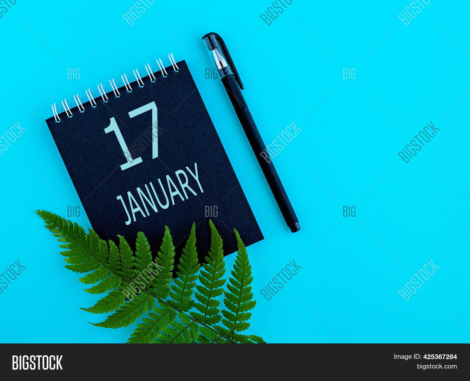 January 17th. Day 17 Image & Photo (Free Trial) | Bigstock