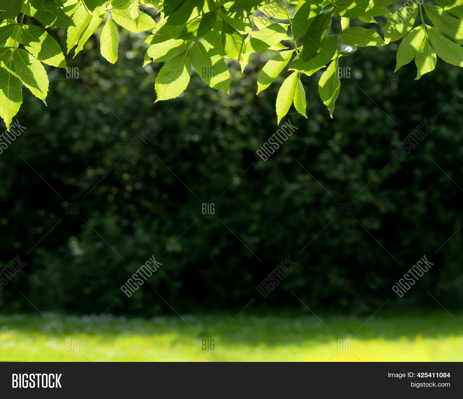 Fresh Air Beautiful Image & Photo (Free Trial) | Bigstock