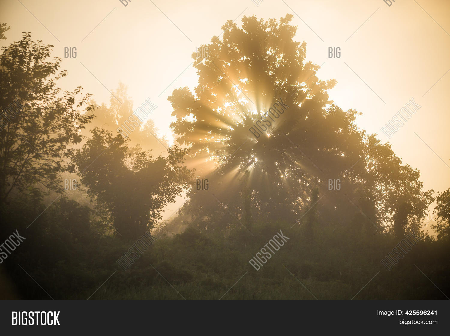 Beautiful Scenery Sun Image & Photo (Free Trial) | Bigstock