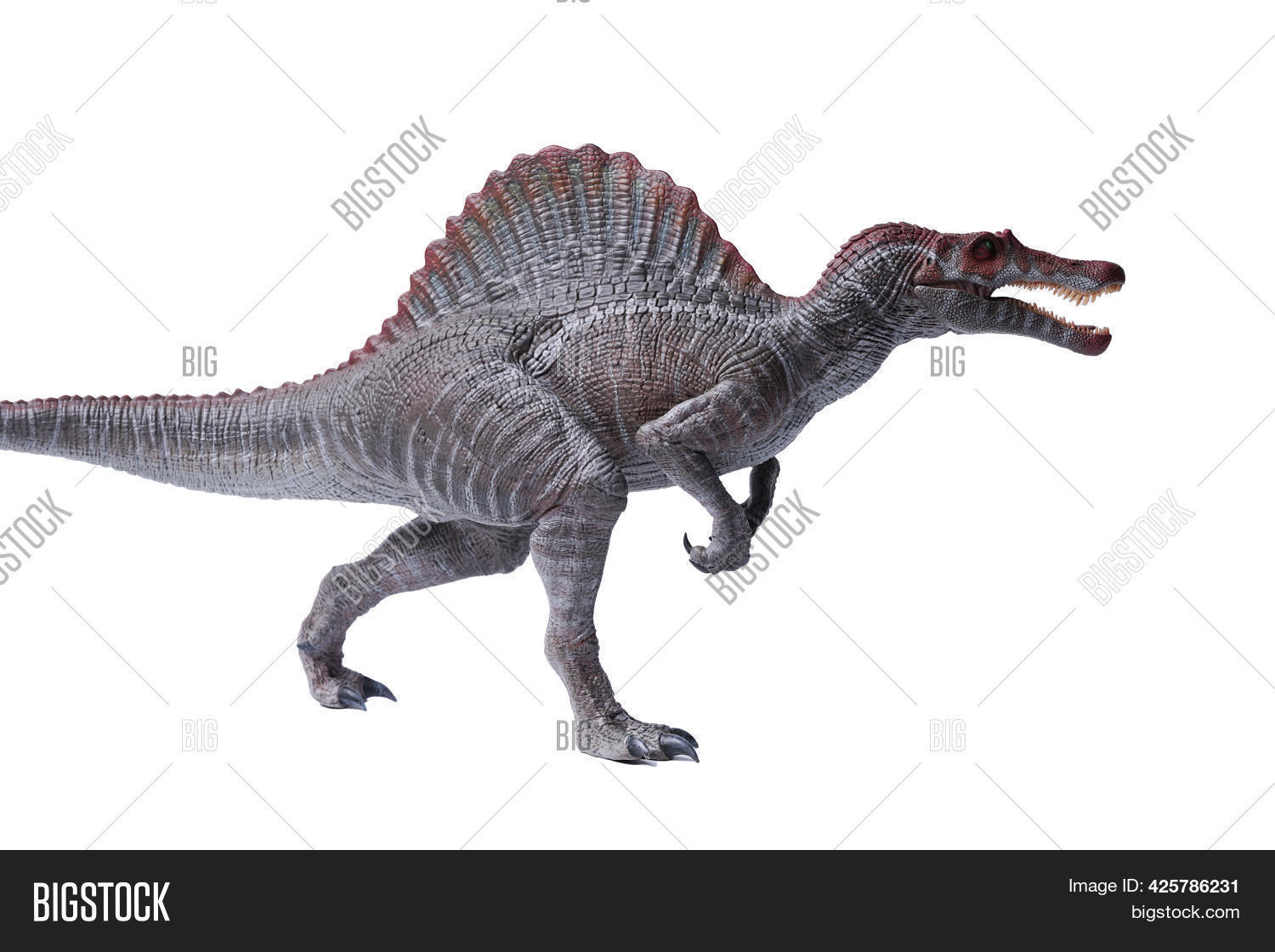Isolated Spinosaurus Image & Photo (Free Trial) | Bigstock