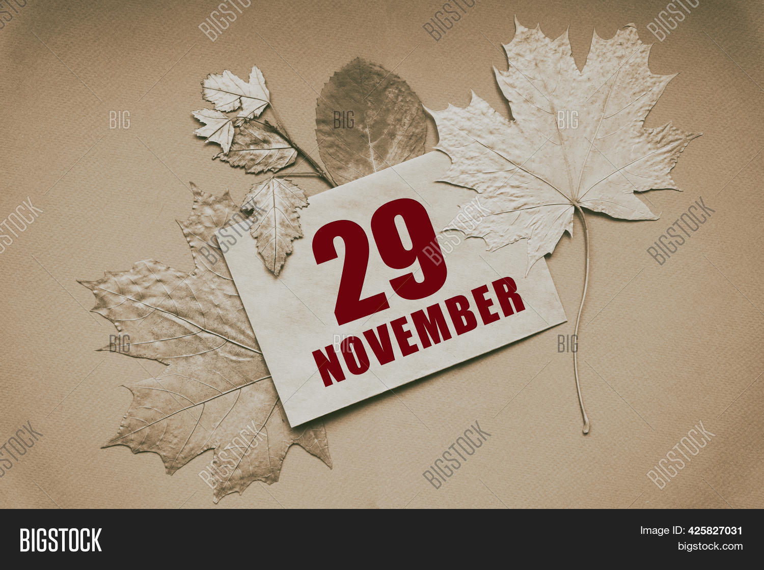 November 29. 29th Day Image & Photo (Free Trial) | Bigstock