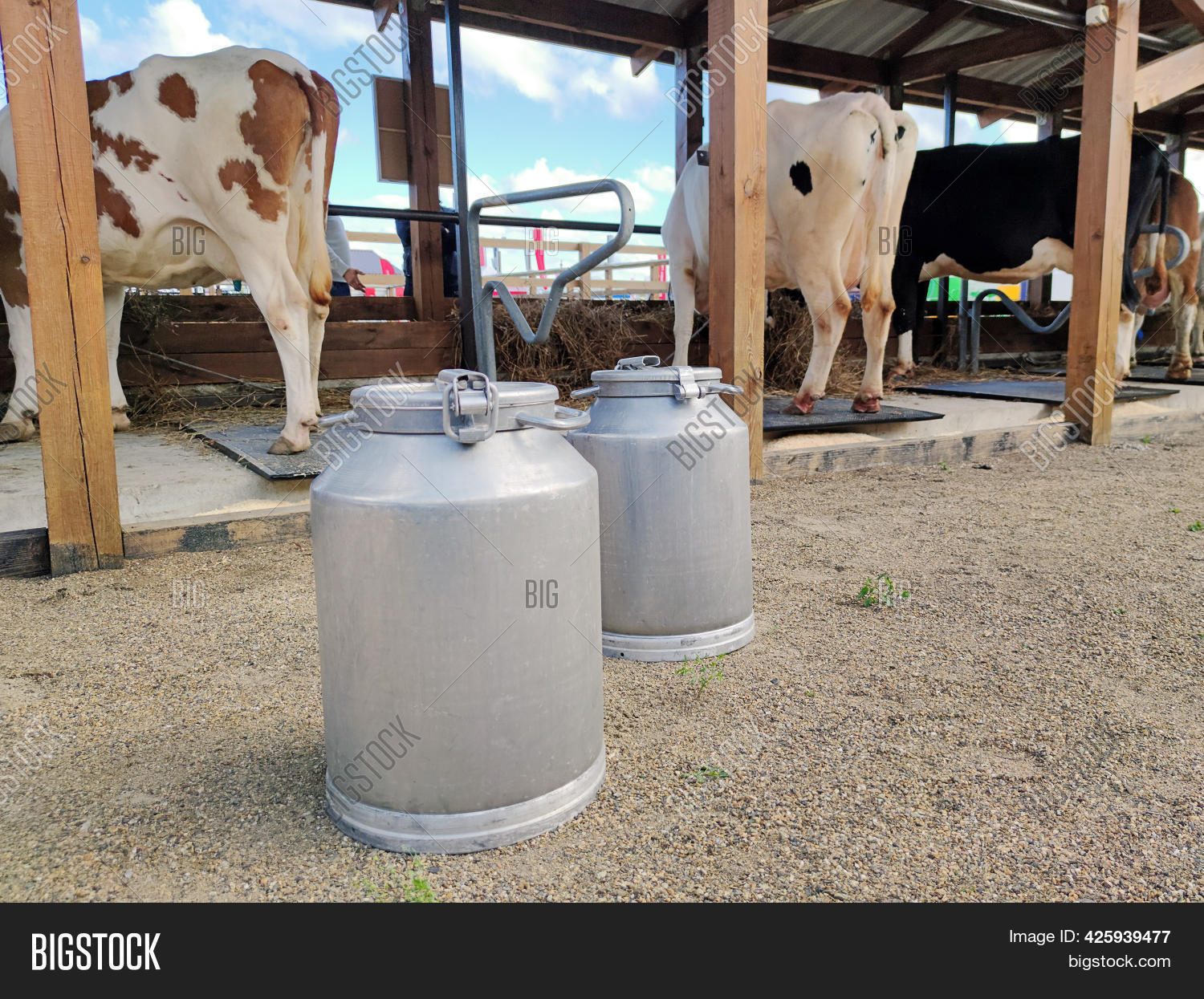 Metal Cans Fresh Milk Image & Photo (Free Trial) | Bigstock