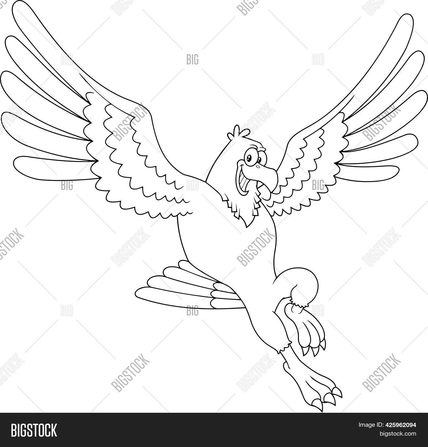 Outlined Smiling Eagle Image & Photo (Free Trial) | Bigstock