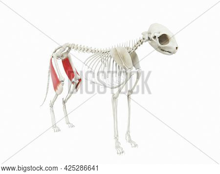 3d Rendered Image & Photo (Free Trial) | Bigstock