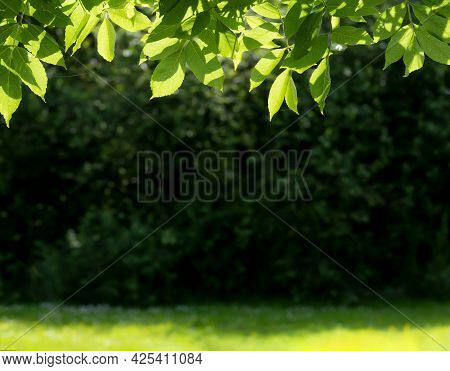 Fresh Air Beautiful Image & Photo (Free Trial) | Bigstock