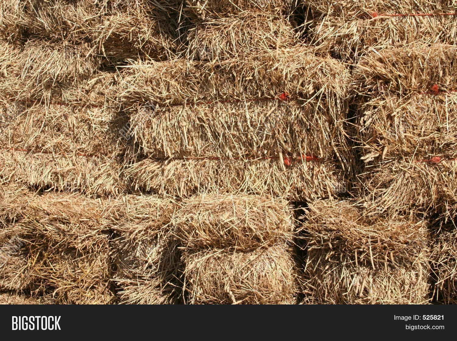Bales Hay Image & Photo (Free Trial) | Bigstock