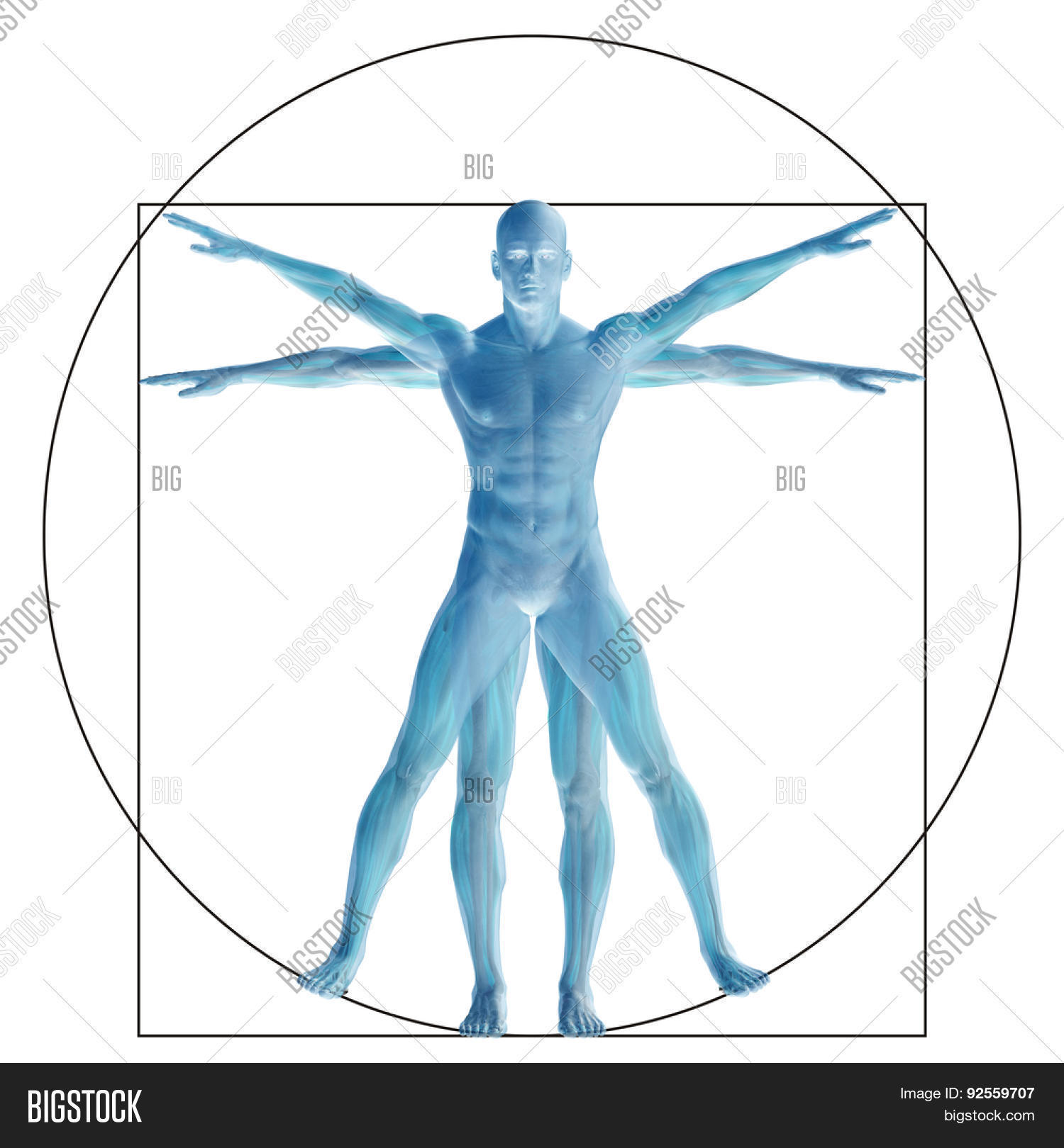Vitruvian Human Man Image & Photo (Free Trial) | Bigstock