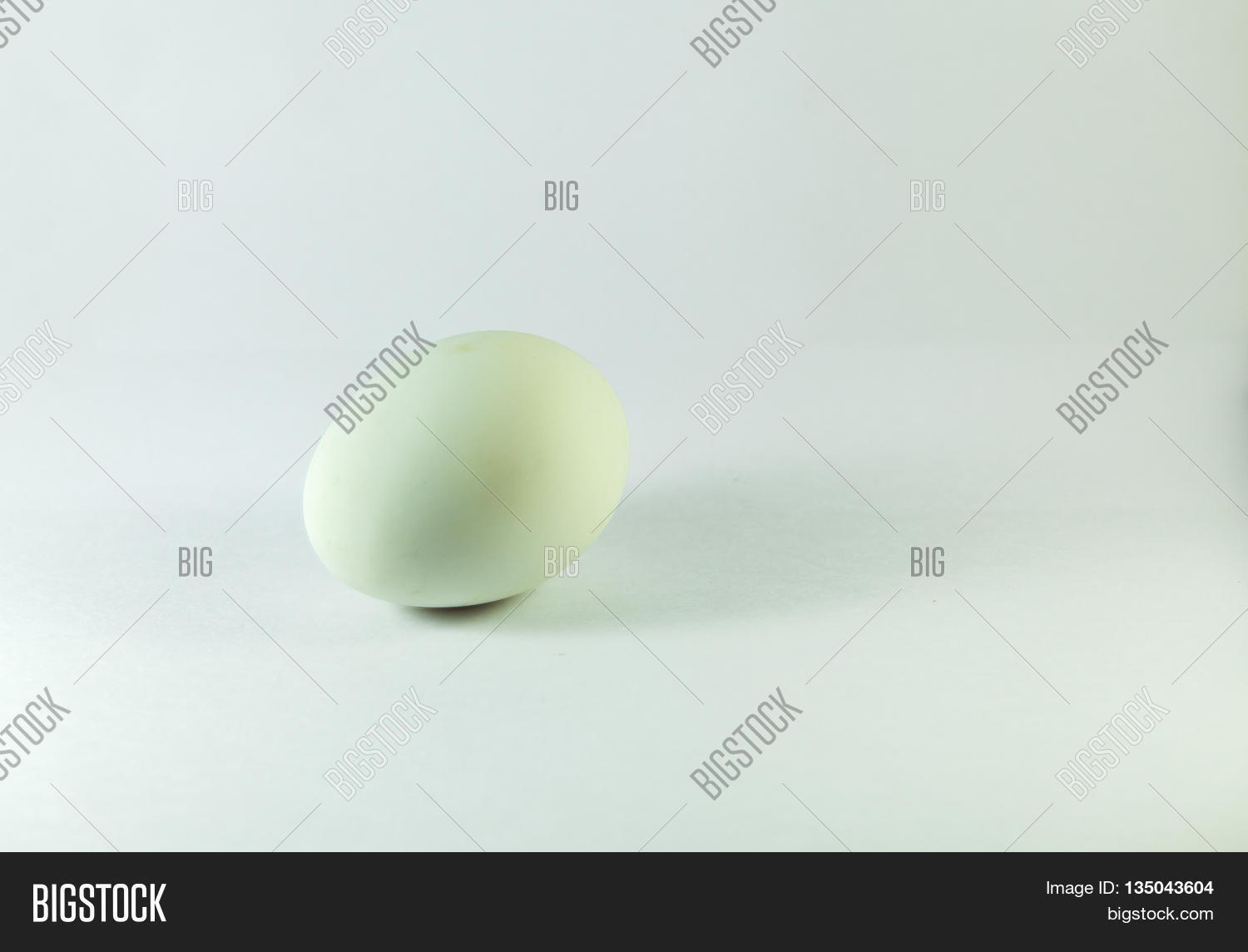 Oval Round Object Laid Image & Photo (Free Trial) | Bigstock