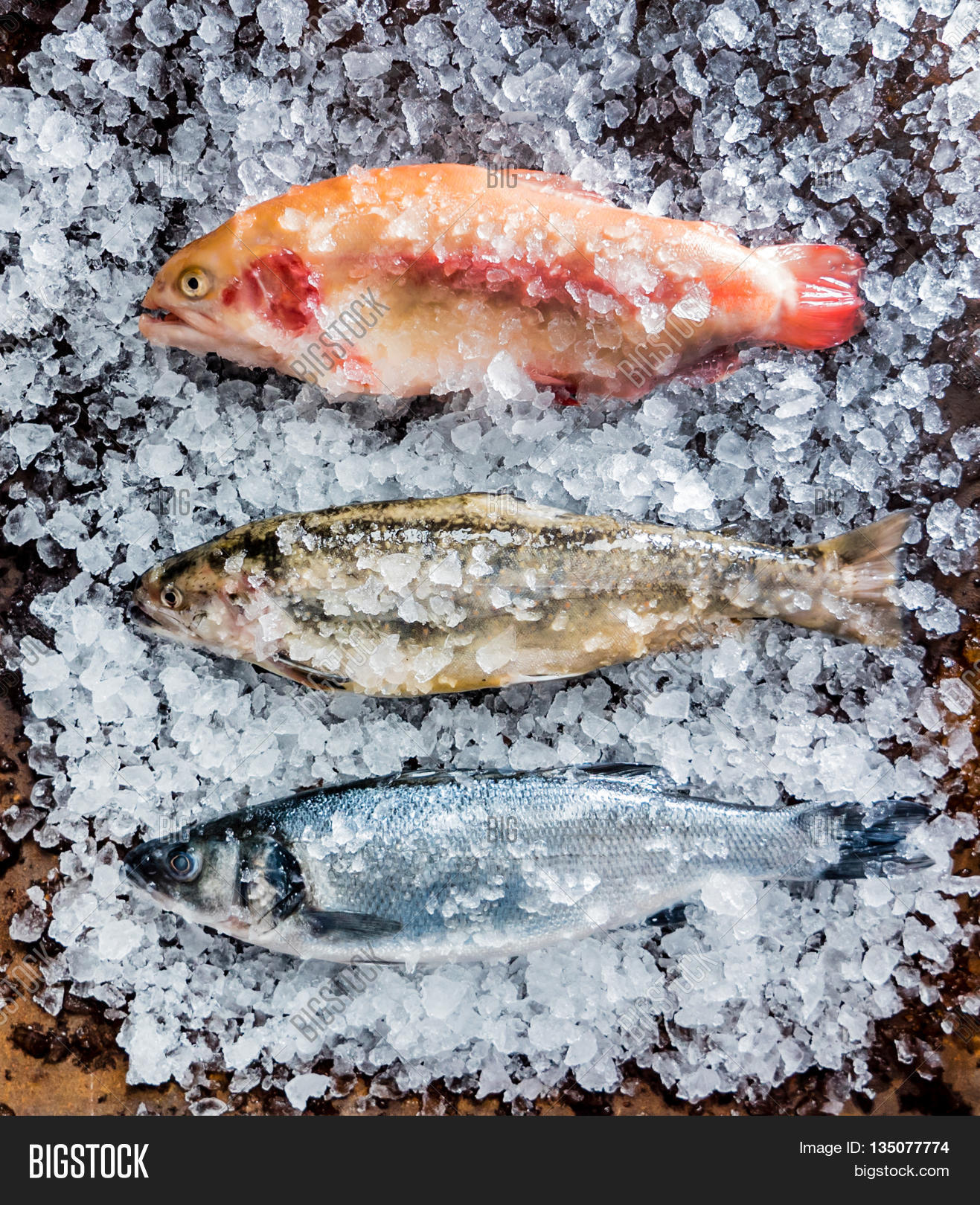 Fresh Fish Image & Photo (Free Trial) | Bigstock