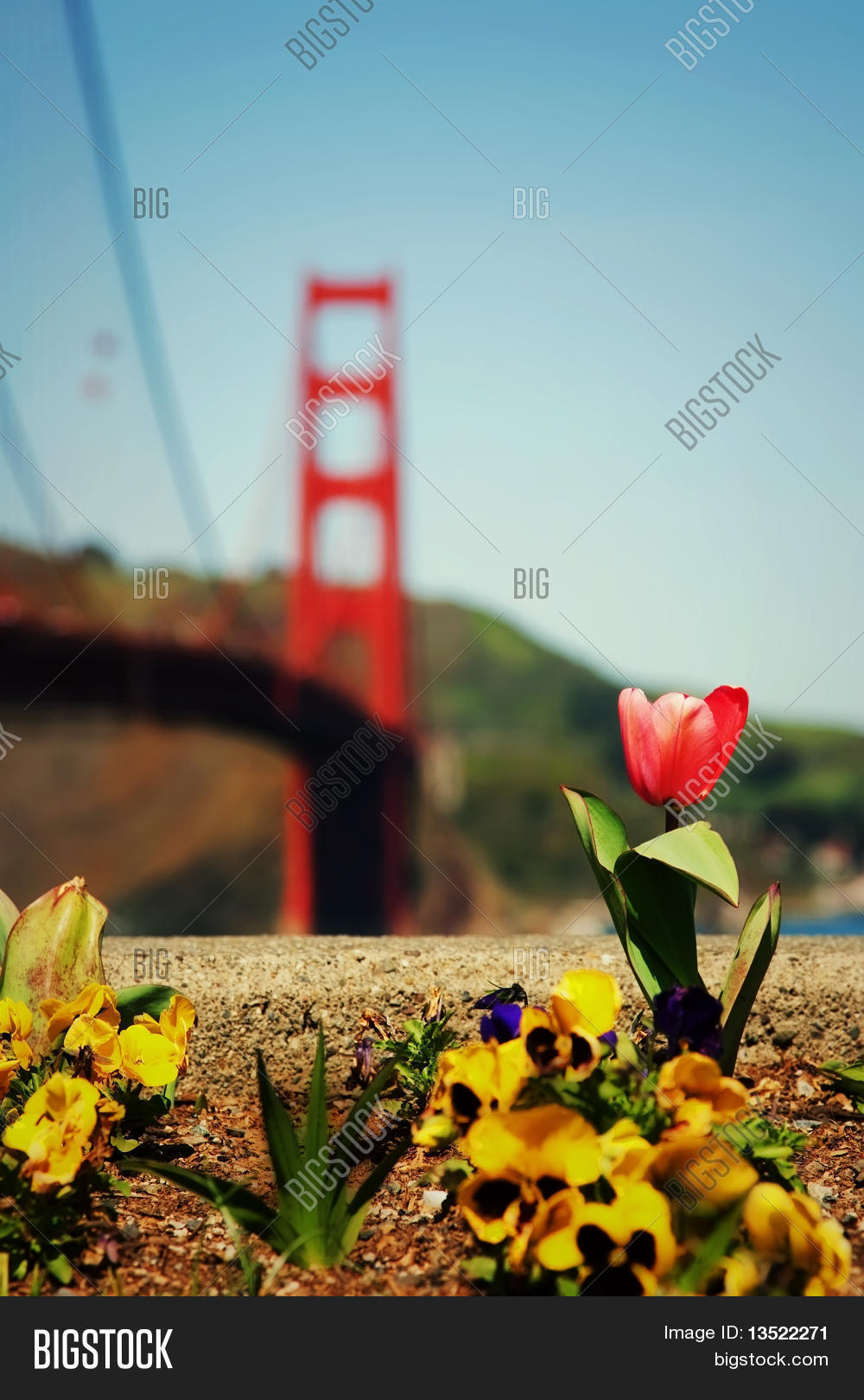 Spring San Francisco Image & Photo (Free Trial) | Bigstock