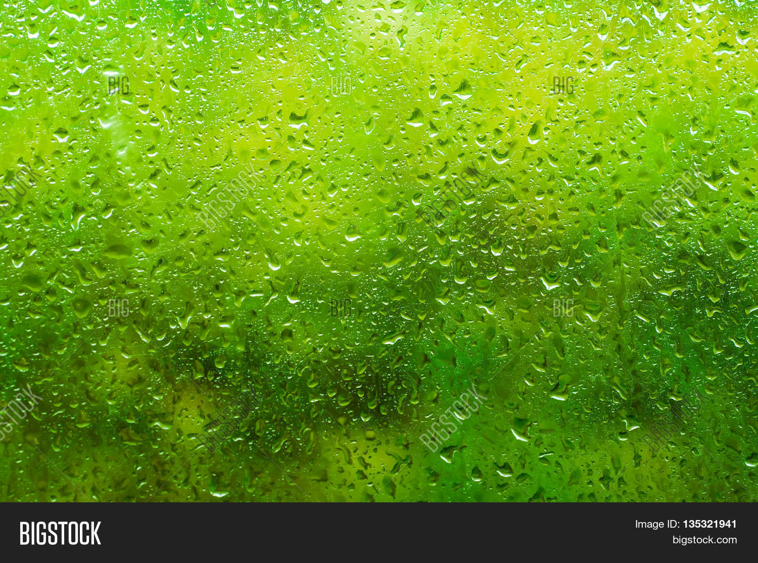 Rainy Wet Green Eco Image & Photo (Free Trial) | Bigstock