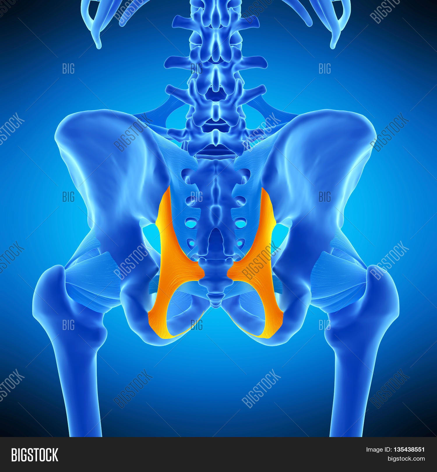 3d Rendered, Medically Image & Photo (Free Trial) | Bigstock