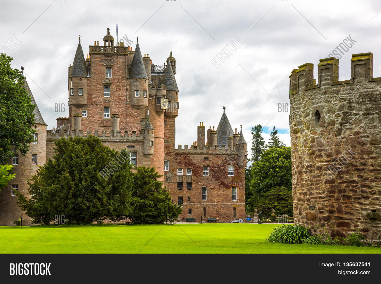 Angus Scotland - July Image & Photo (Free Trial) | Bigstock