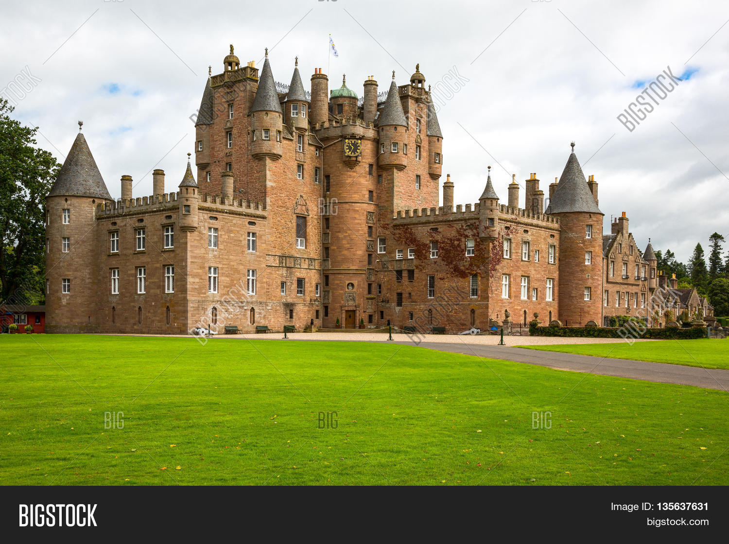 Angus Scotland - July Image & Photo (Free Trial) | Bigstock