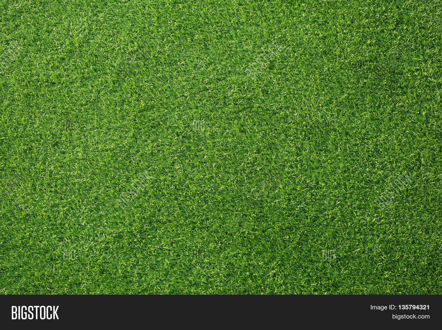 Grass Wallpaper Image & Photo (Free Trial) | Bigstock
