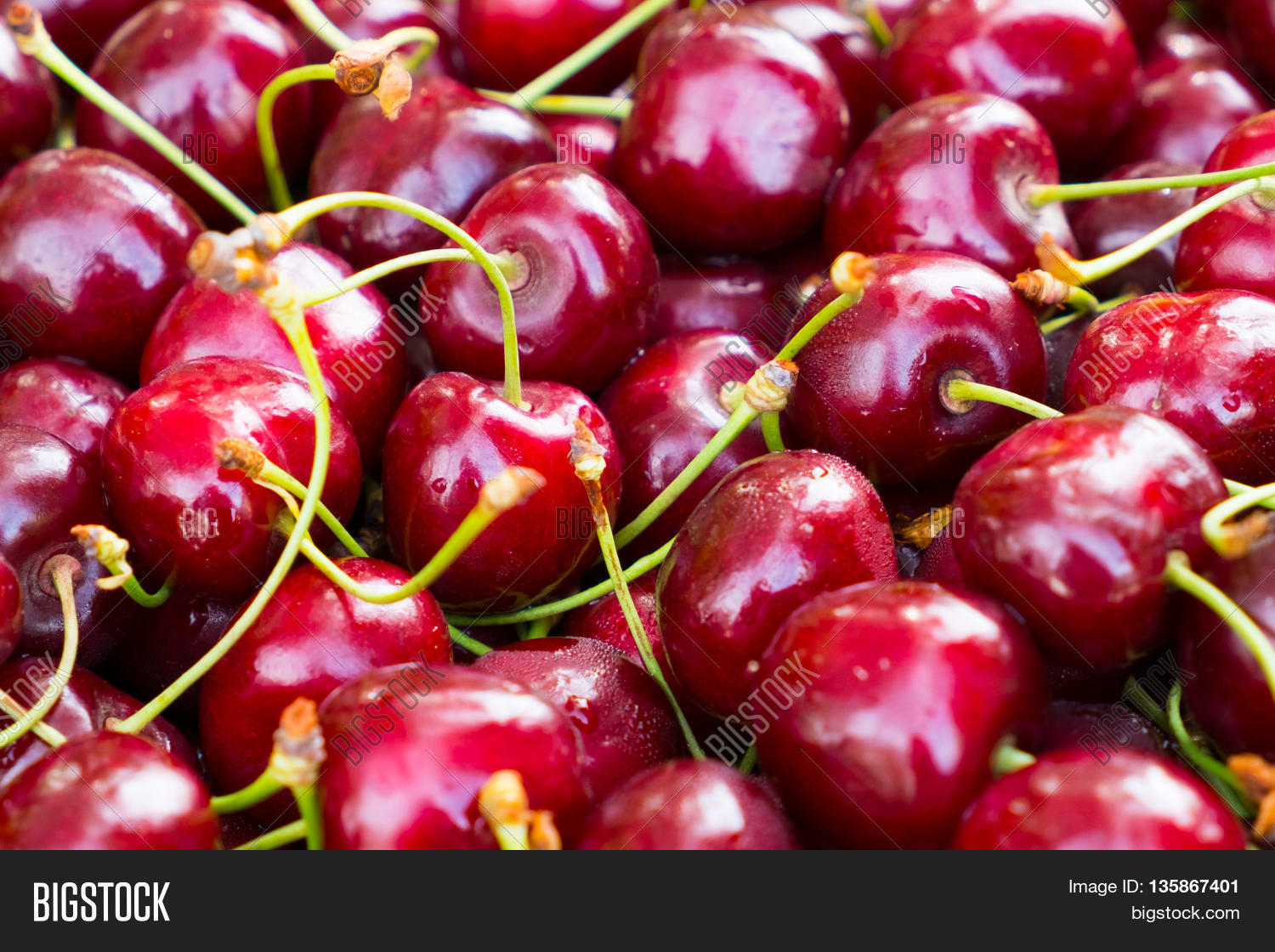 Large Red Cherry. Image & Photo (Free Trial) | Bigstock