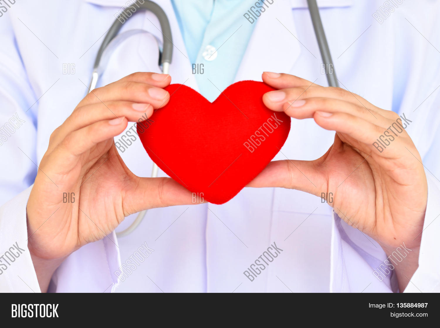 Doctor Holding Heart Image & Photo (Free Trial) | Bigstock