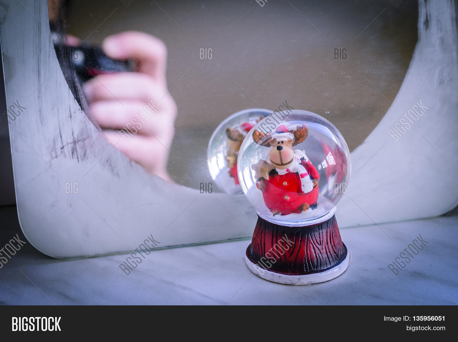 Little Snowball Image & Photo (Free Trial) | Bigstock