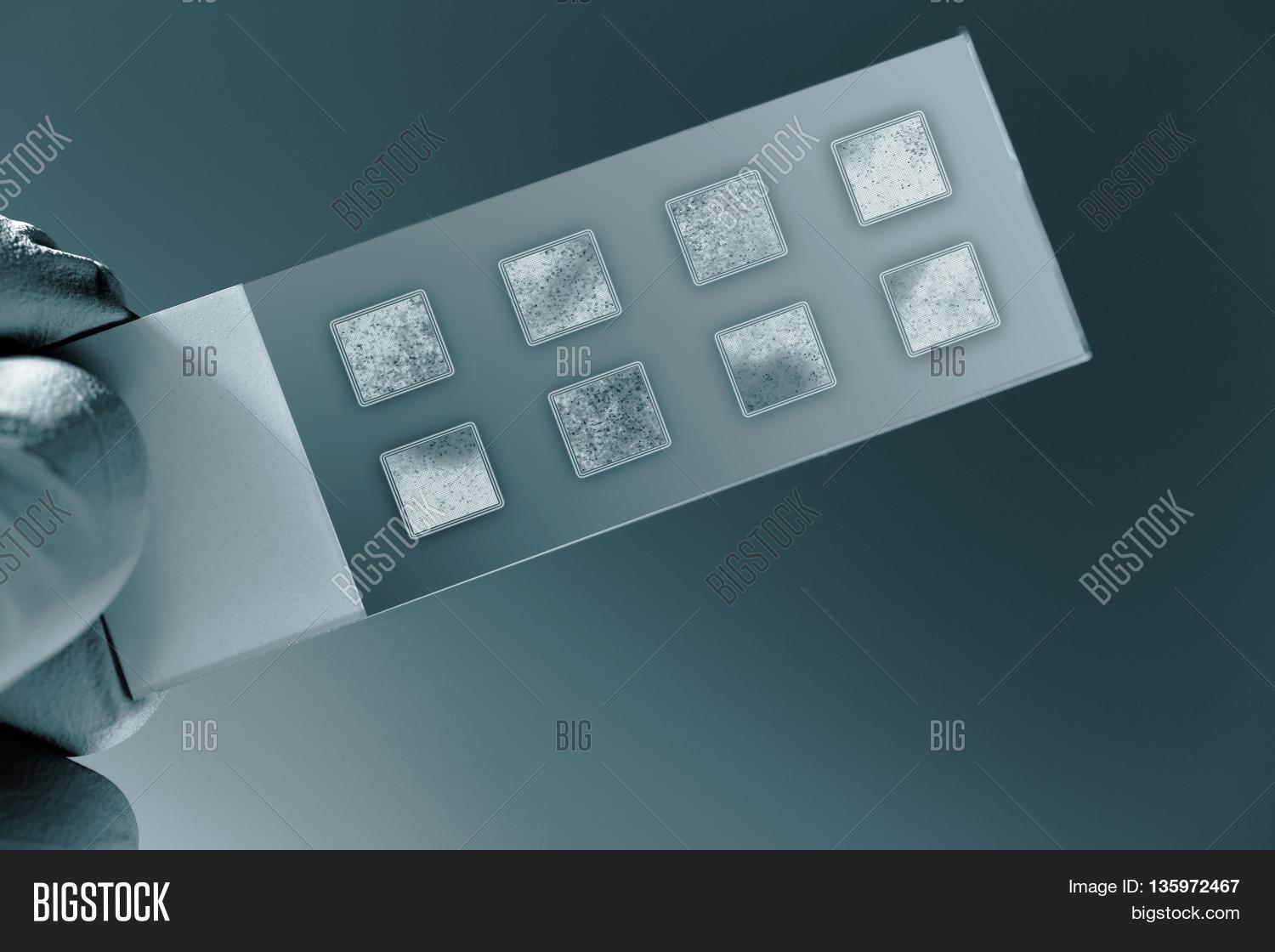 DNA Microarray, DNA Image & Photo (Free Trial) | Bigstock