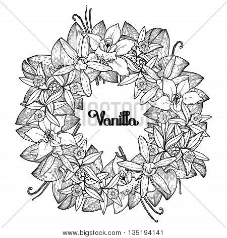 Graphic Vanilla Vector & Photo (Free Trial) | Bigstock