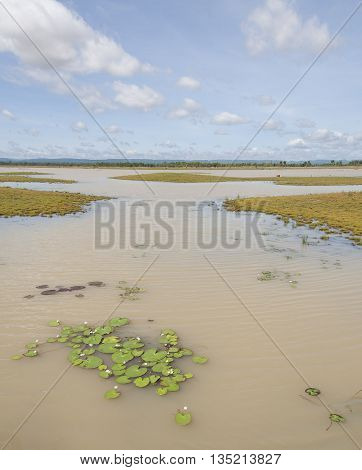 Muddy Silt Filled Image & Photo (Free Trial) | Bigstock