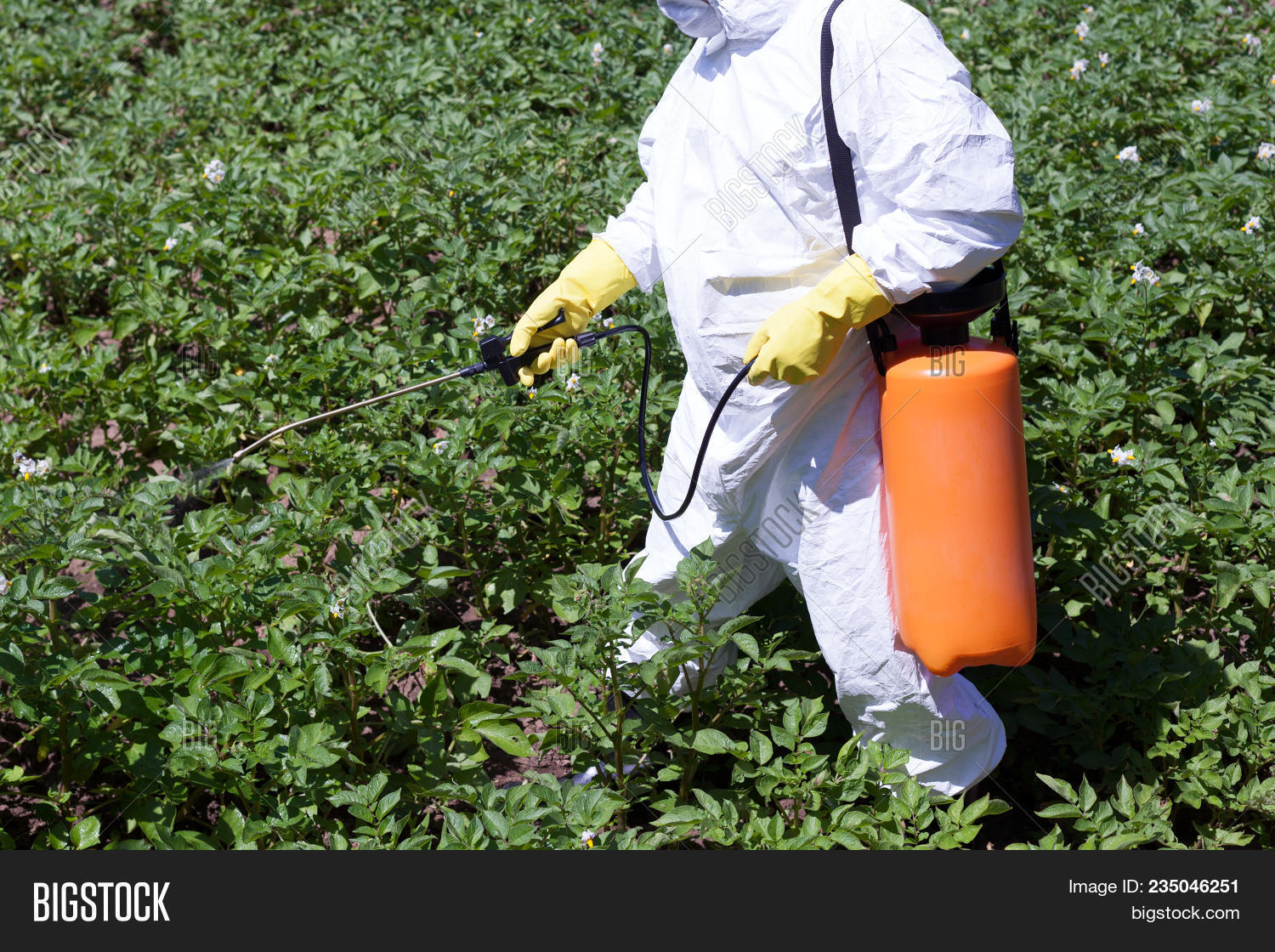 Farmer Spraying Image & Photo (Free Trial) | Bigstock