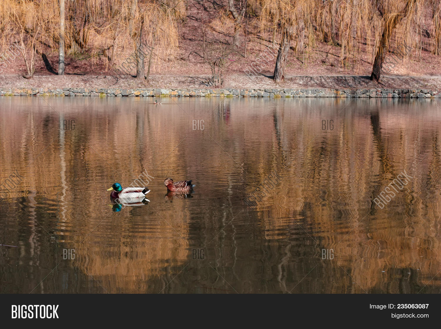 Spring Landscape Lake Image & Photo (Free Trial) | Bigstock