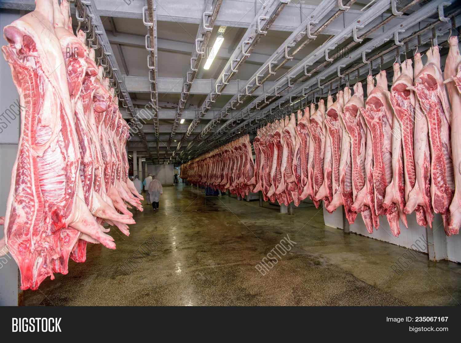 Refrigerator Pork Meat Image & Photo (Free Trial) | Bigstock