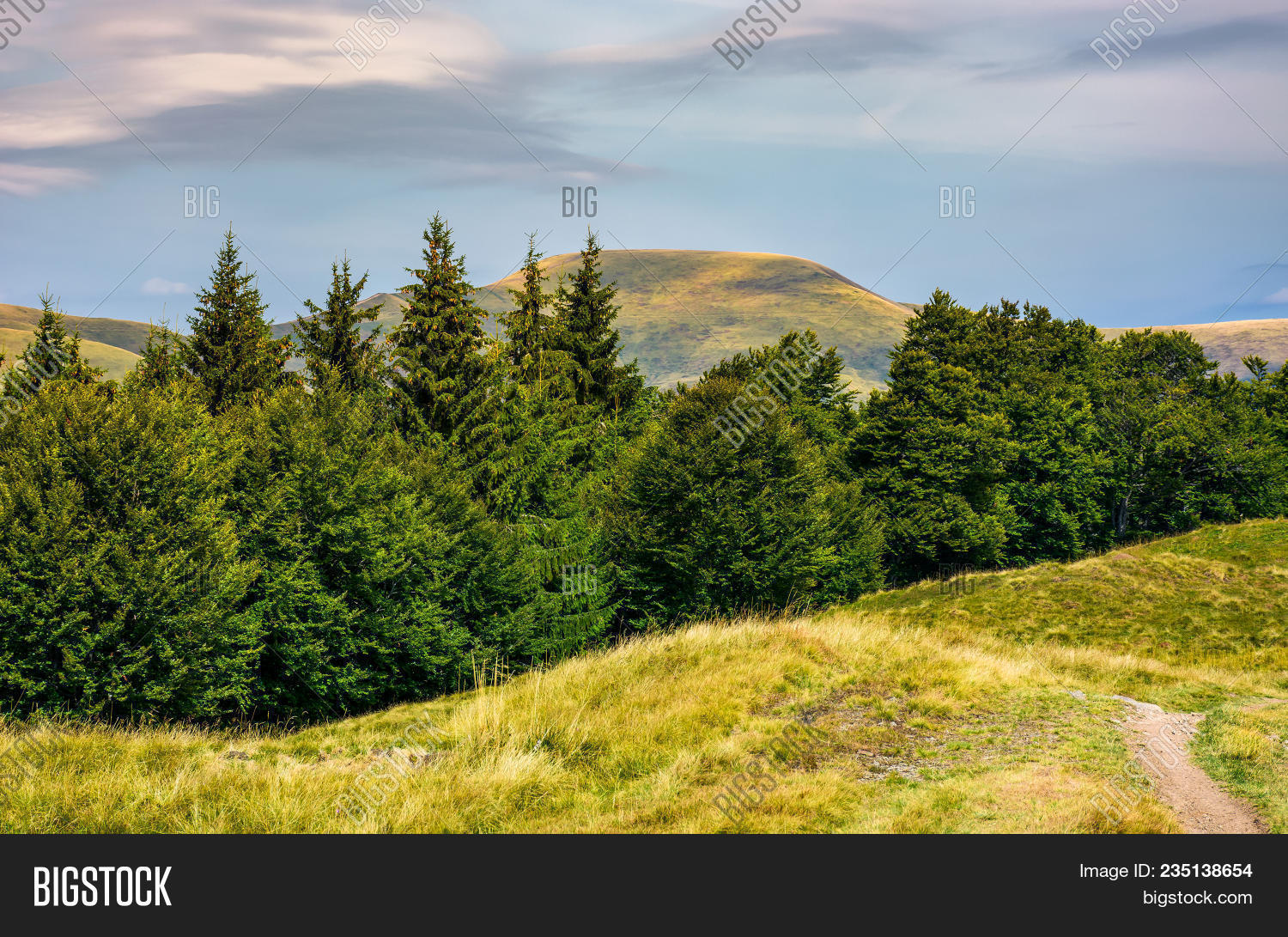 Forested Hills Meadows Image & Photo (Free Trial) | Bigstock
