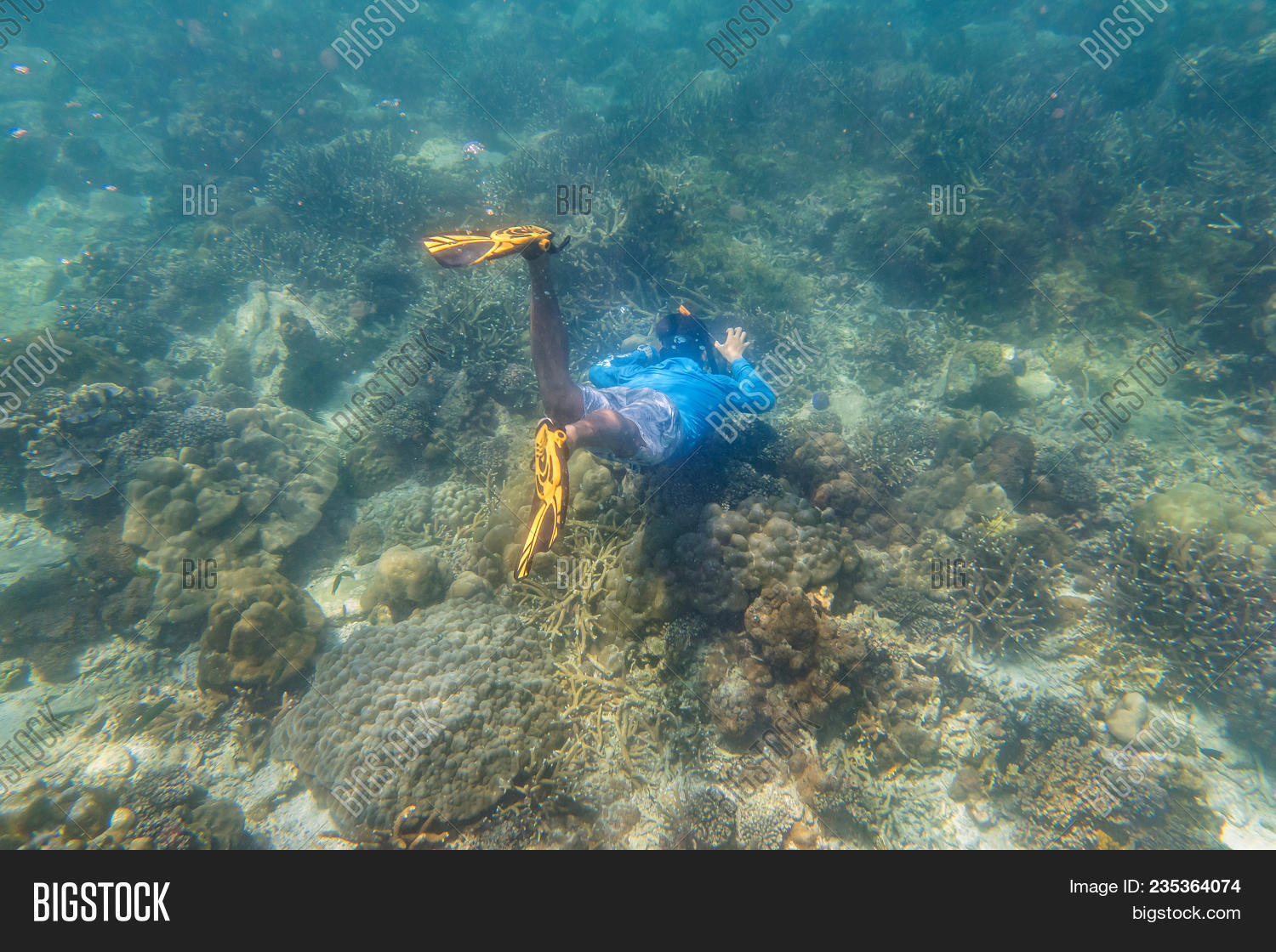 Snorkeling Diver Make Image & Photo (Free Trial) | Bigstock