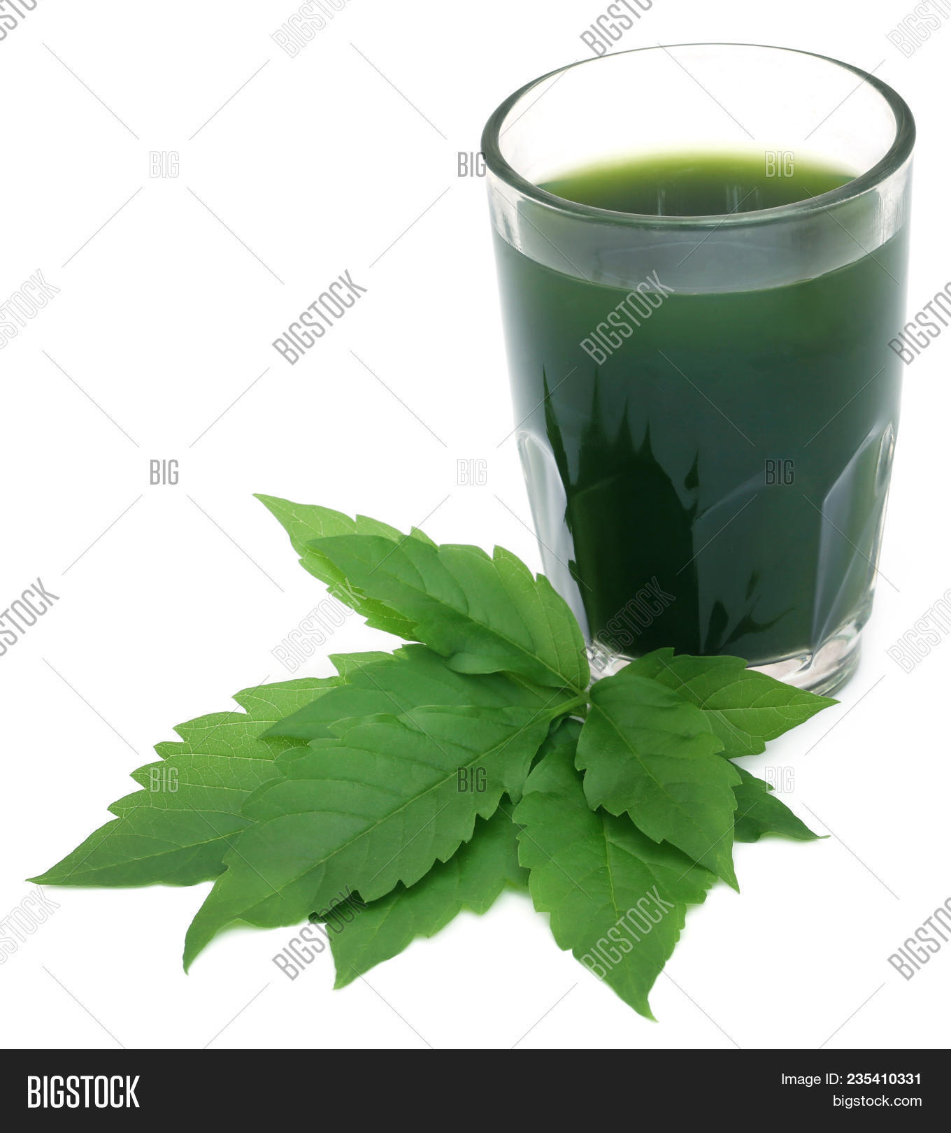 Vitex Negundo Image & Photo (Free Trial) | Bigstock