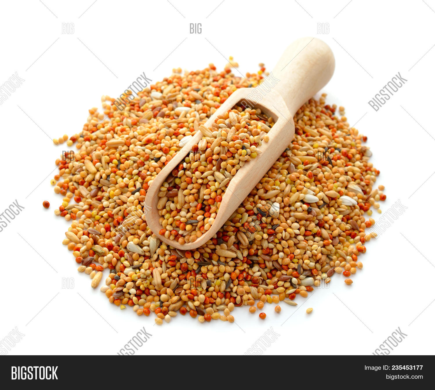 Grain Mix Millet, Image & Photo (Free Trial) | Bigstock