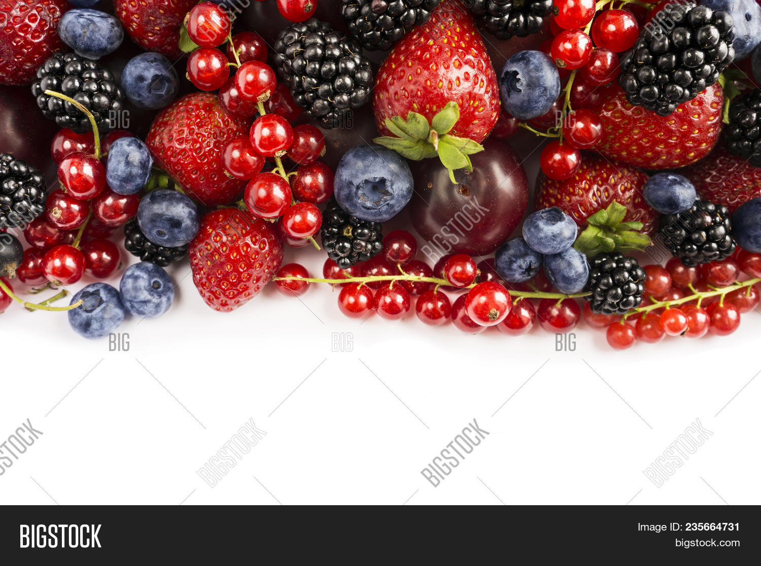 Mix Berries On White Image & Photo (Free Trial) | Bigstock