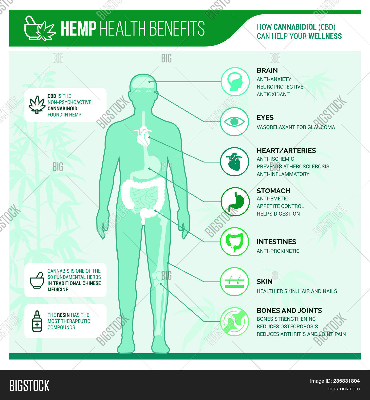 Medicinal 矢量图和照片（免费试用） | Bigstock