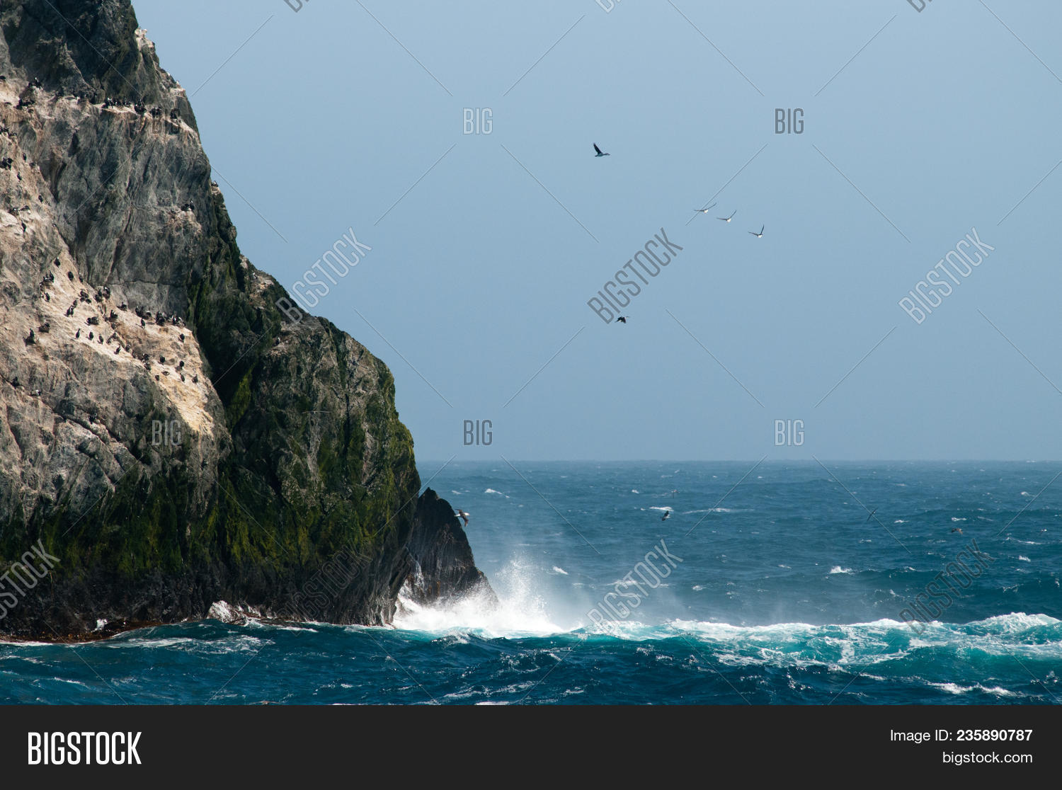 Shag Rocks Six Small, Image & Photo (Free Trial) | Bigstock