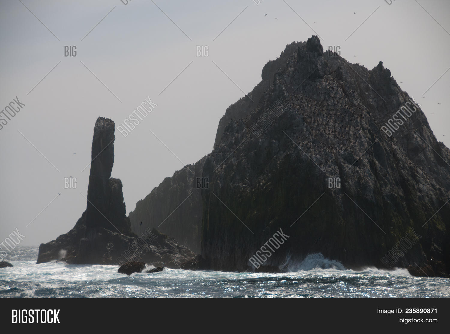 Shag Rocks Six Small, Image & Photo (Free Trial) | Bigstock