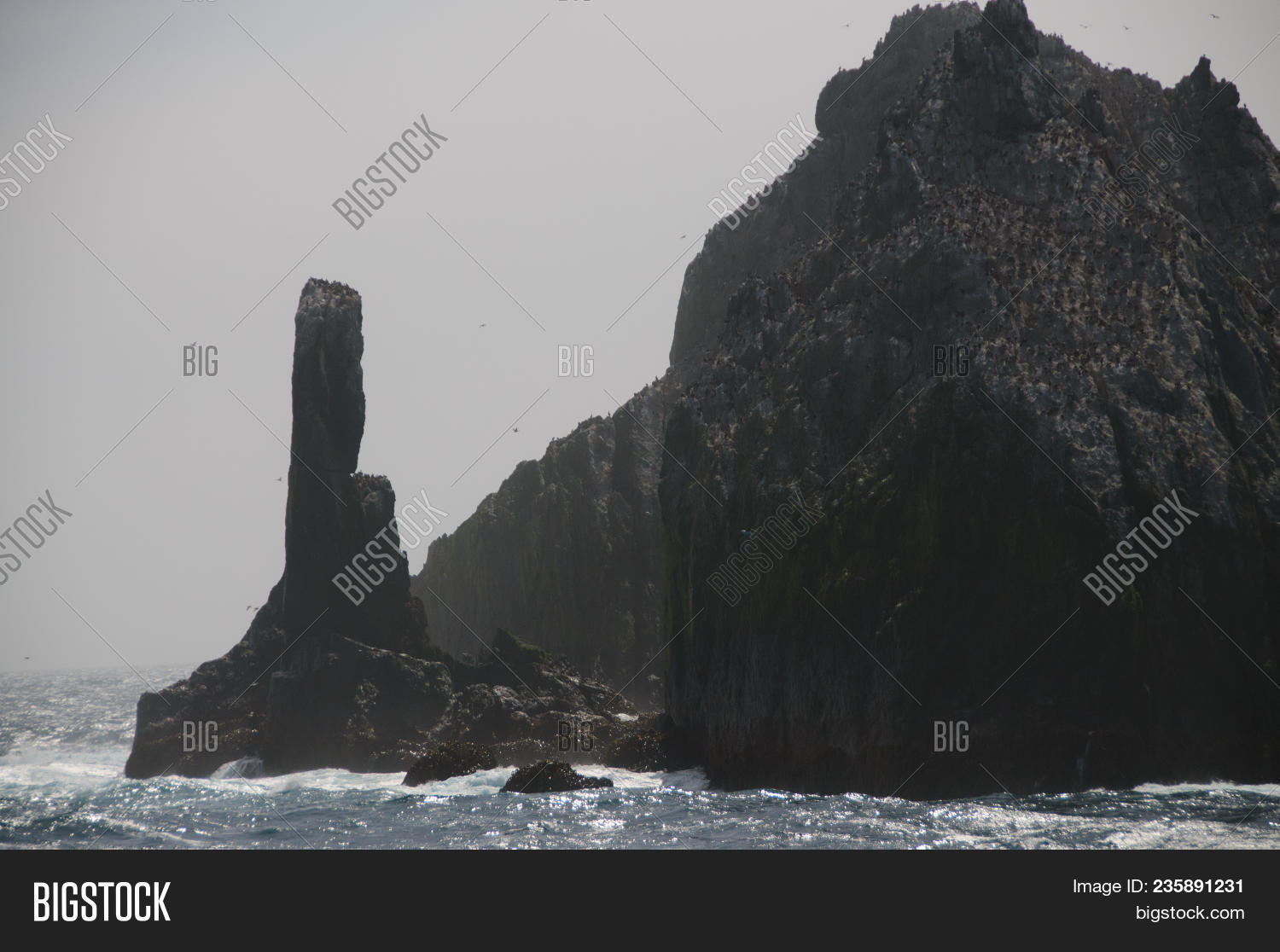 Shag Rocks Six Small, Image & Photo (Free Trial) | Bigstock