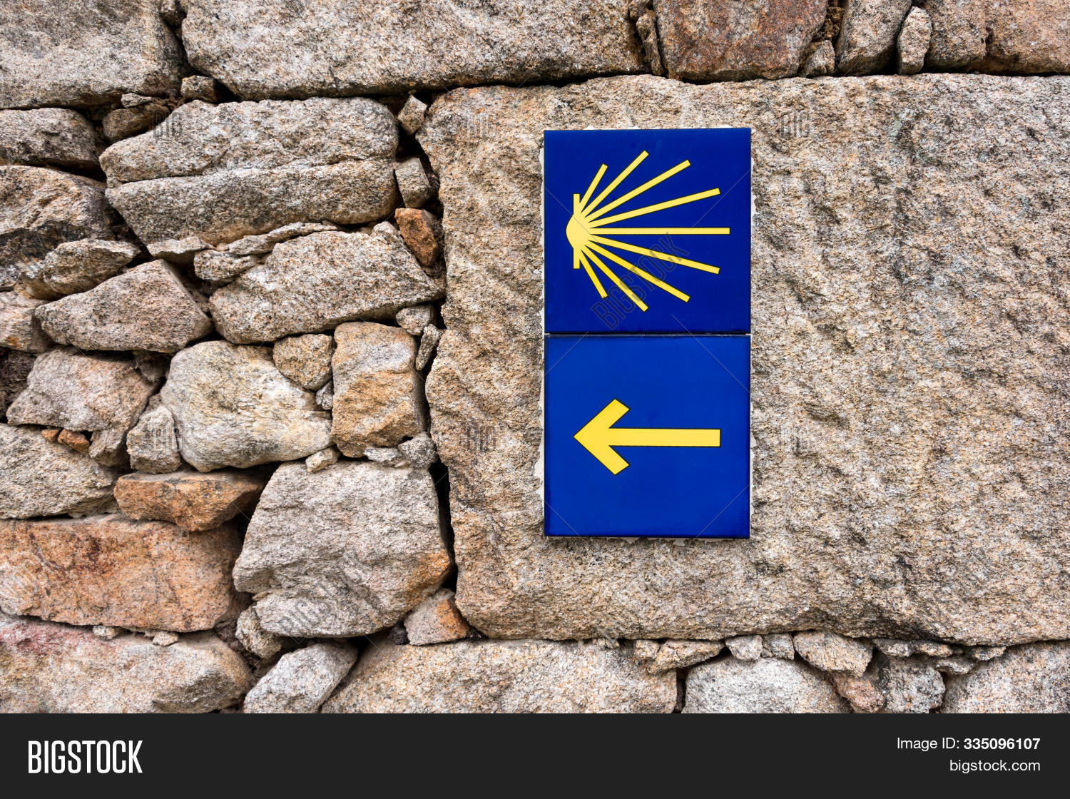 Yellow Scallop Shell, Image & Photo (Free Trial) | Bigstock