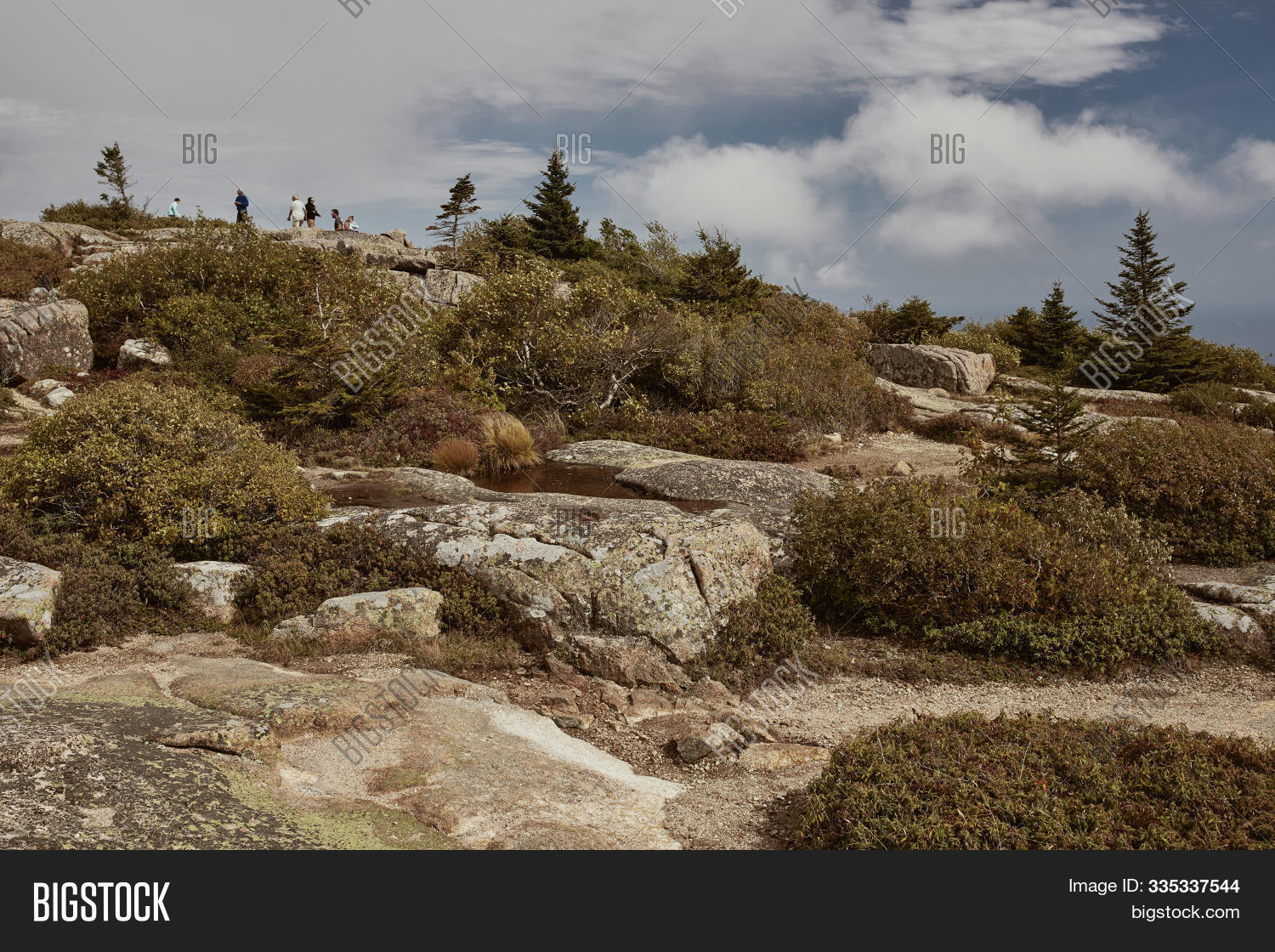 Mount Desert Island, Image & Photo (Free Trial) | Bigstock