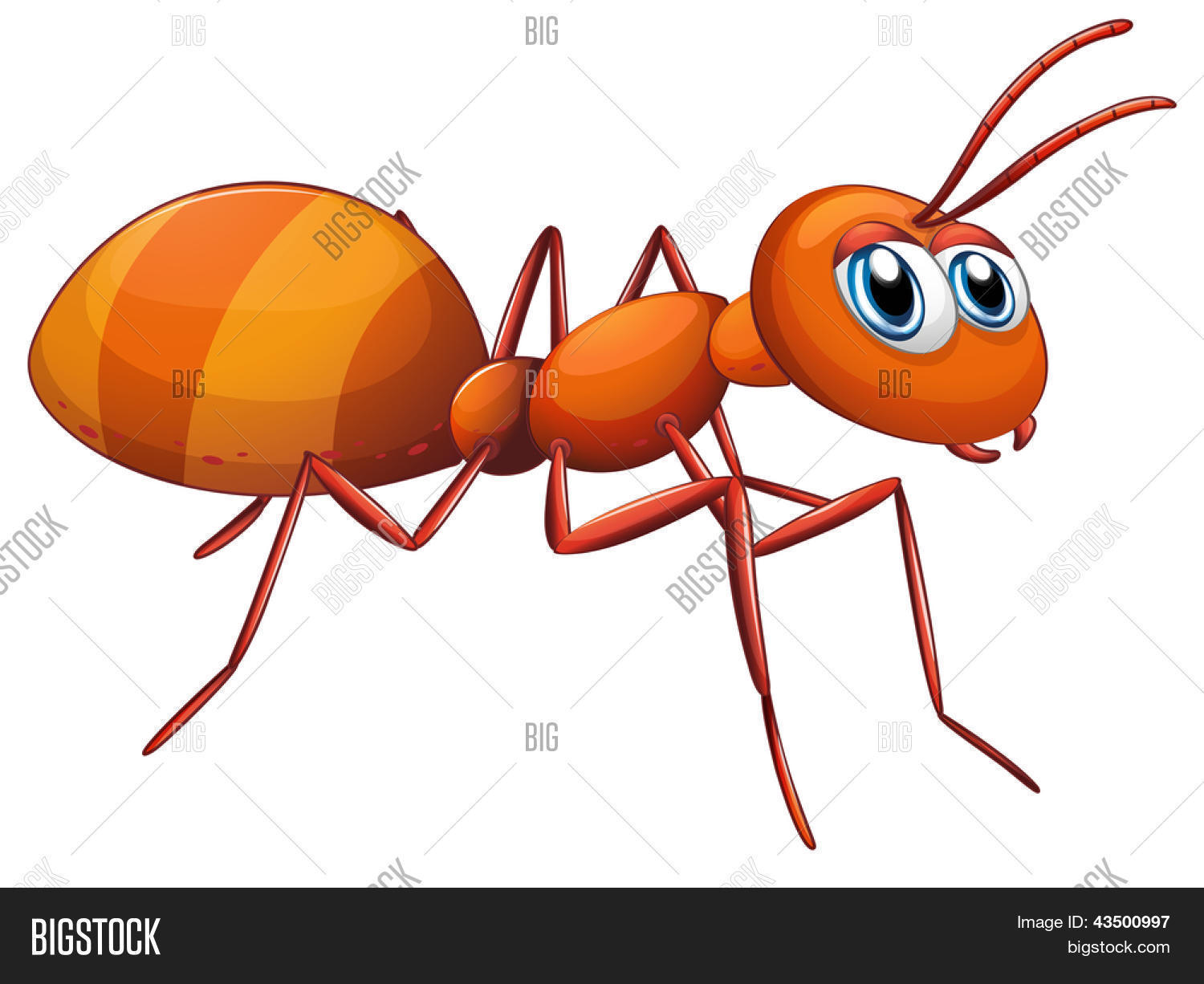 Illustration Big Ant Image & Photo (Free Trial) | Bigstock