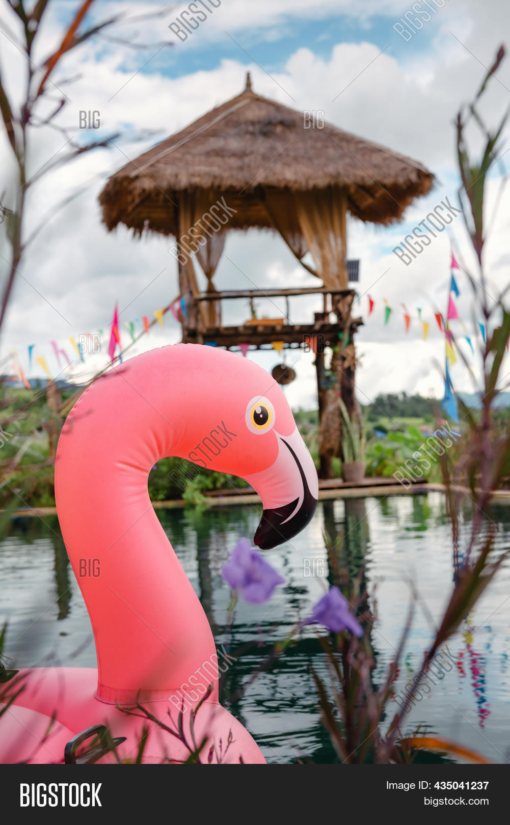 Flamingo Floating Image & Photo (Free Trial) | Bigstock
