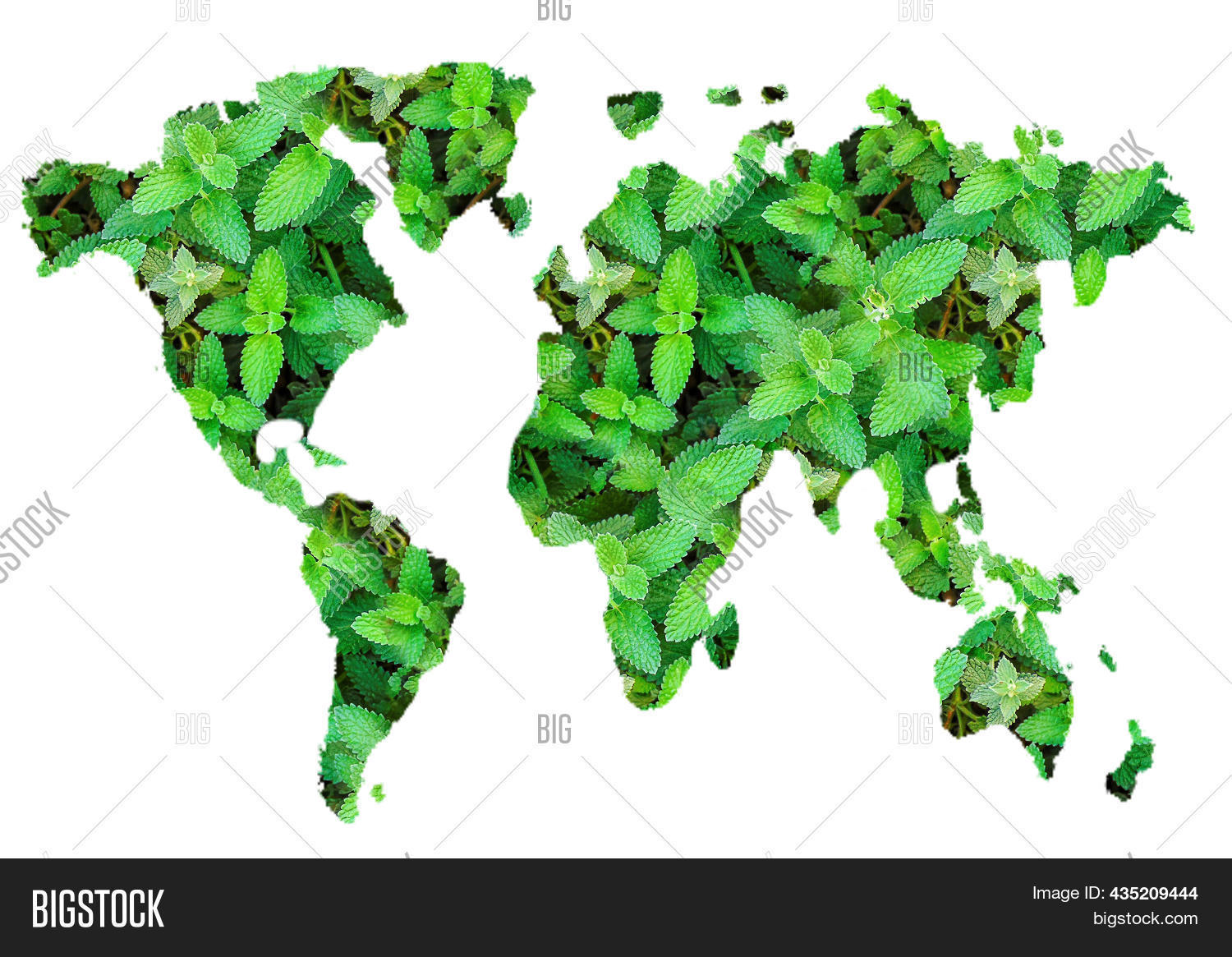 World Map. Mint Leaves Image & Photo (Free Trial) | Bigstock