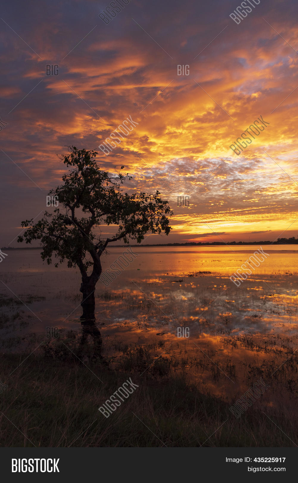 Scenic View Dramatic Image & Photo (Free Trial) | Bigstock