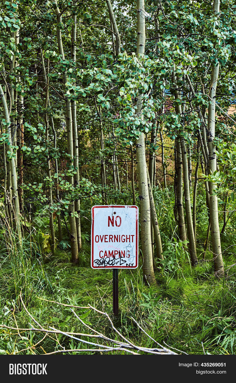Vertical Warning Sign Image & Photo (Free Trial) | Bigstock