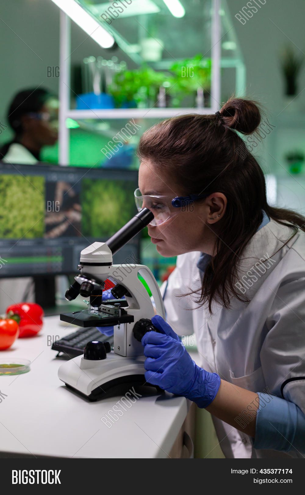 Biologist Researcher Image & Photo (Free Trial) | Bigstock